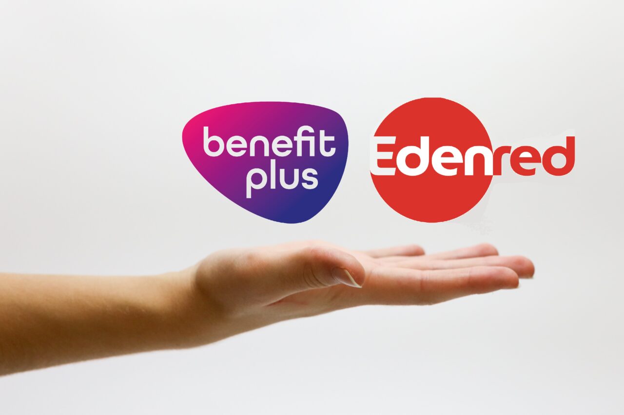 Program BENEFITY - ACE Consulting